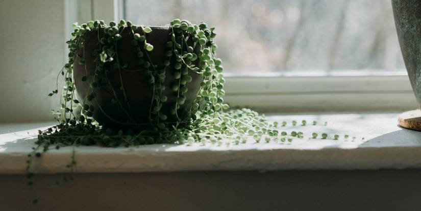 DIY String of Pearls Decor for Trendy Spaces