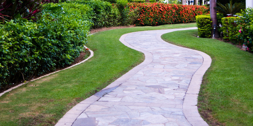 Expert Tips to Fertilize Your Fall Lawn
