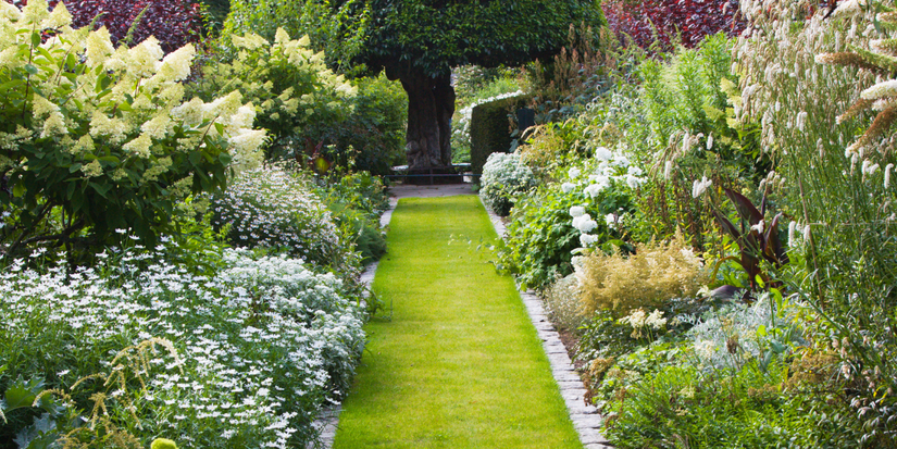 How to Use Color Theory in Your Garden Design