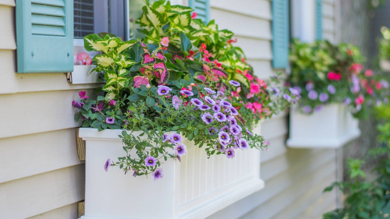 Winter Window Box Ideas to Transform Your Home's Exterior