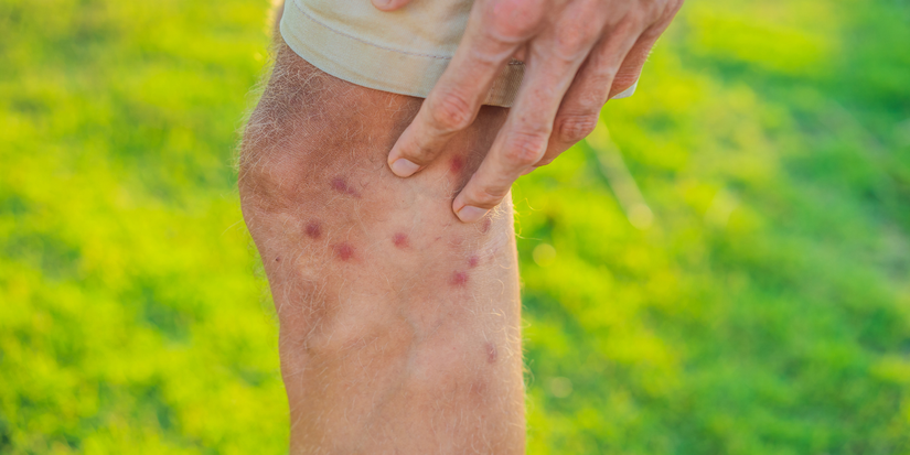 The Hidden Dangers of Jumping into Fall Leaves