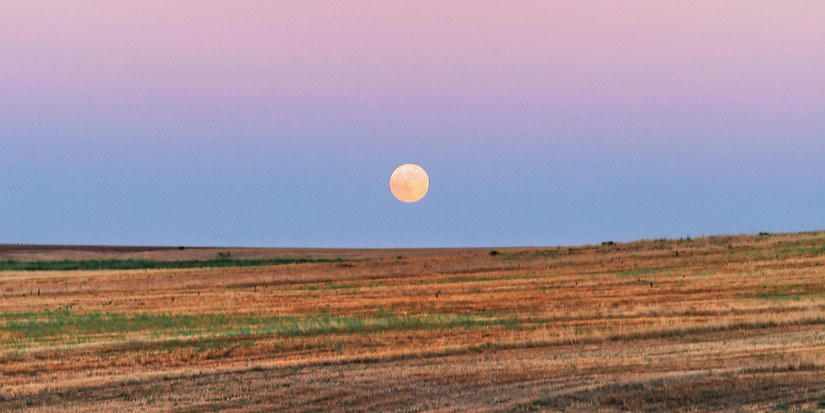 6 Signs From Nature That the Weather is About to Change