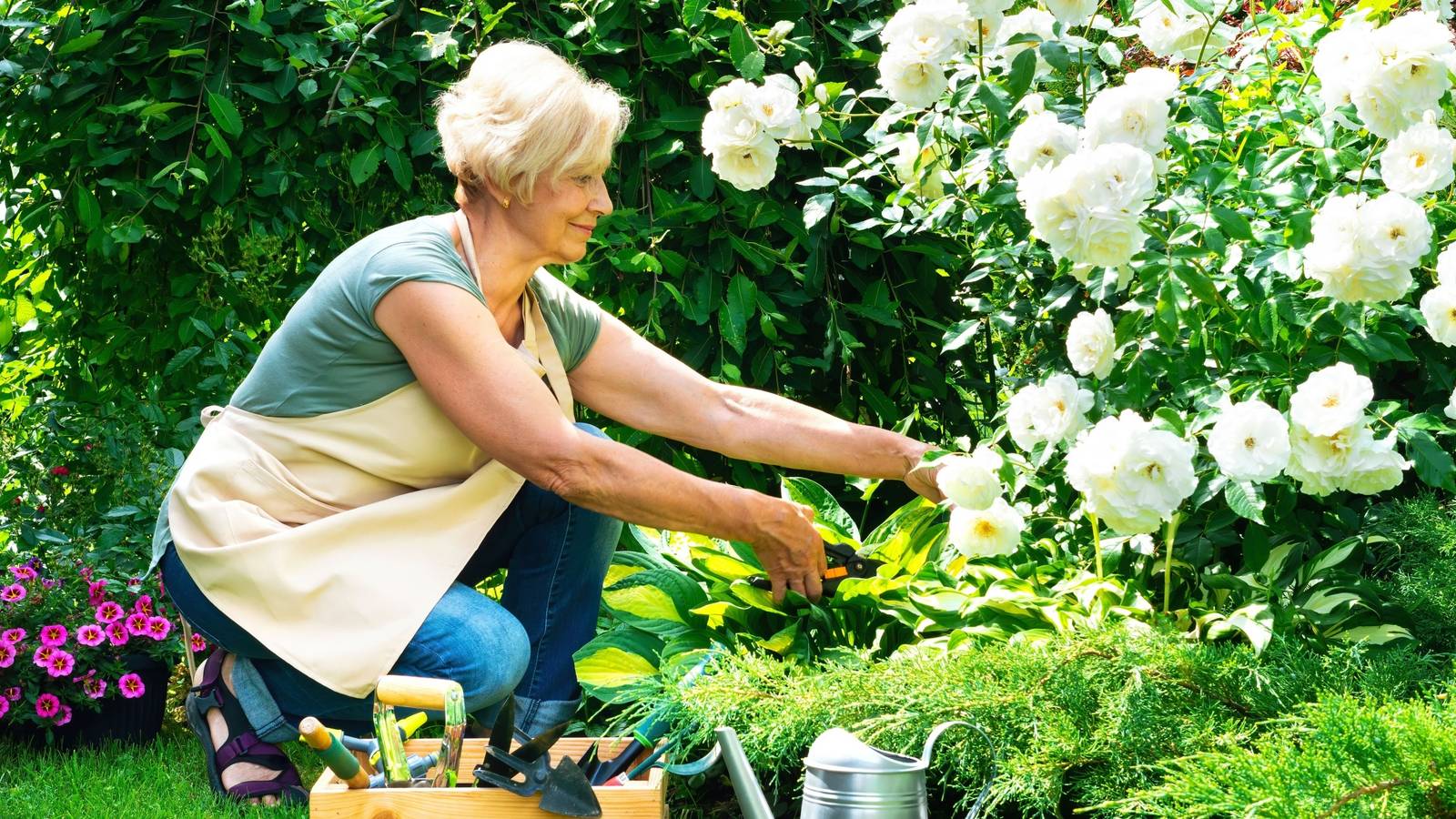 10 Gardening Projects to Improve Your Mental Health