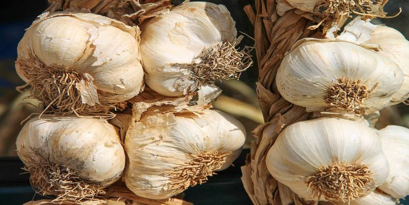 Cure your Vegetables Before Storing: 7 Steps