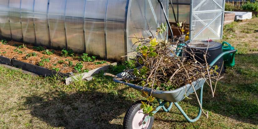 A Comprehensive Guide to Greenhouse Cleaning