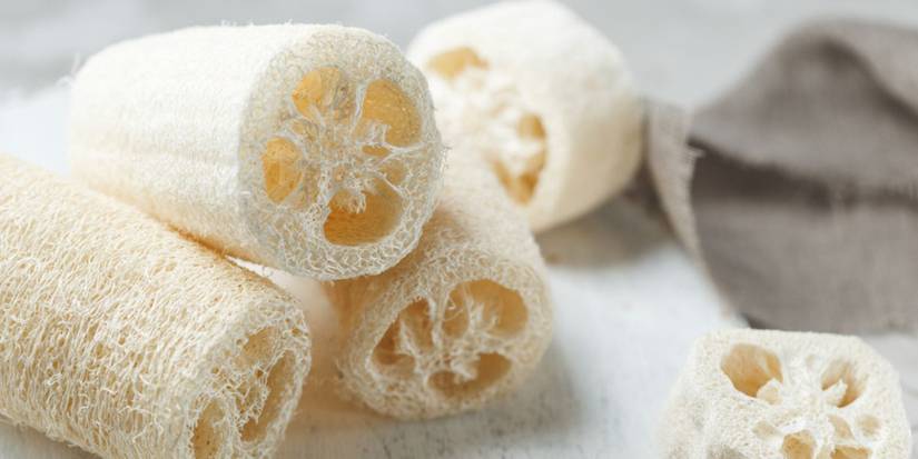 6 Household Items Produced From Plants