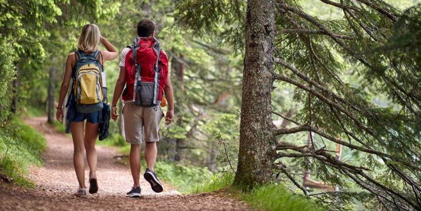 Exploring Cairo’s Ancient Forest Hidden Beneath New York