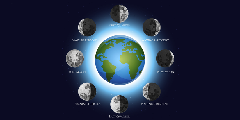 Birds and Outdoor Lights: How Landscape Lighting Poses Risks