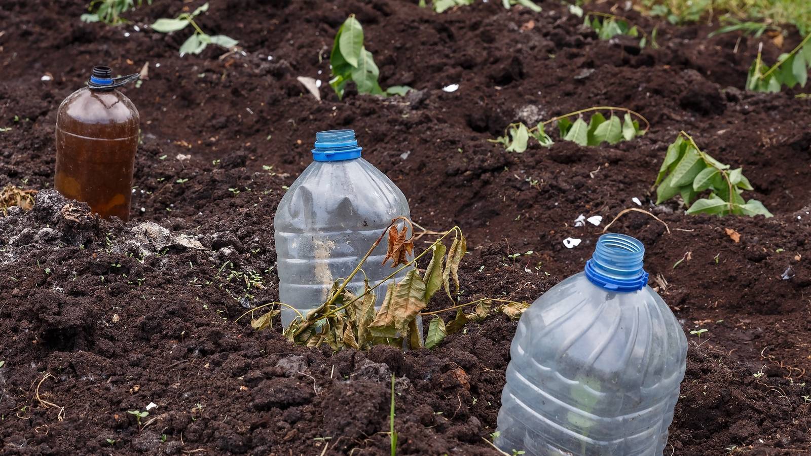 How Plastics Get Into Garden Soil