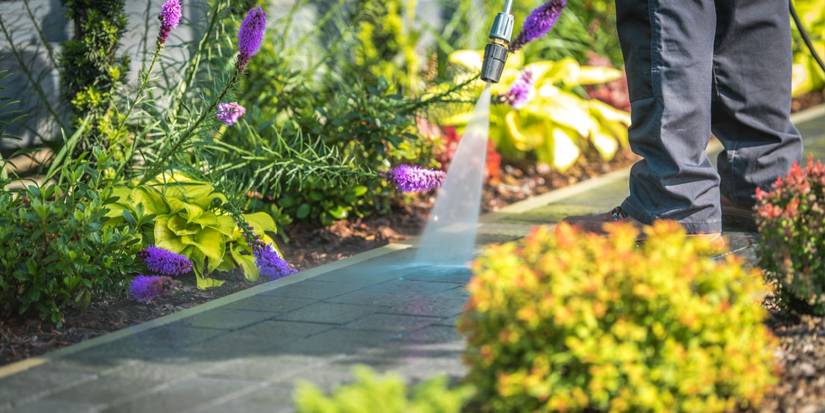 Landscape Your Way to a Gorgeous Front Yard