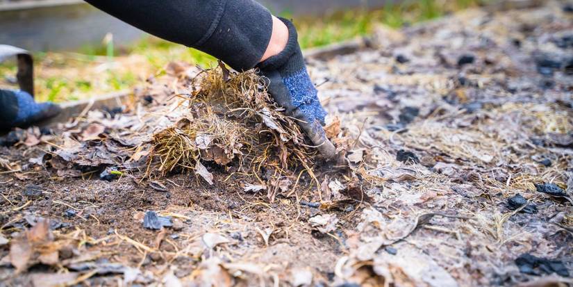 Outdated Landscaping Features You Should Replace Right Now