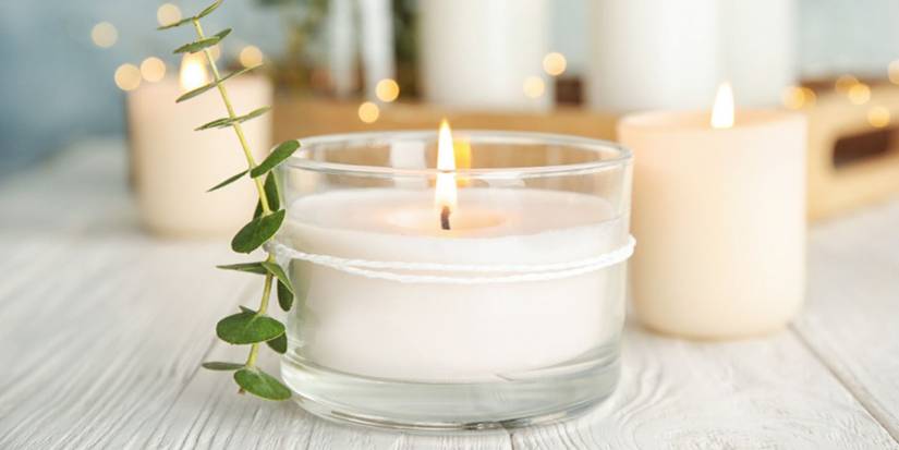 Why Do Plants Smell? The Science and Purpose of Floral Fragrance