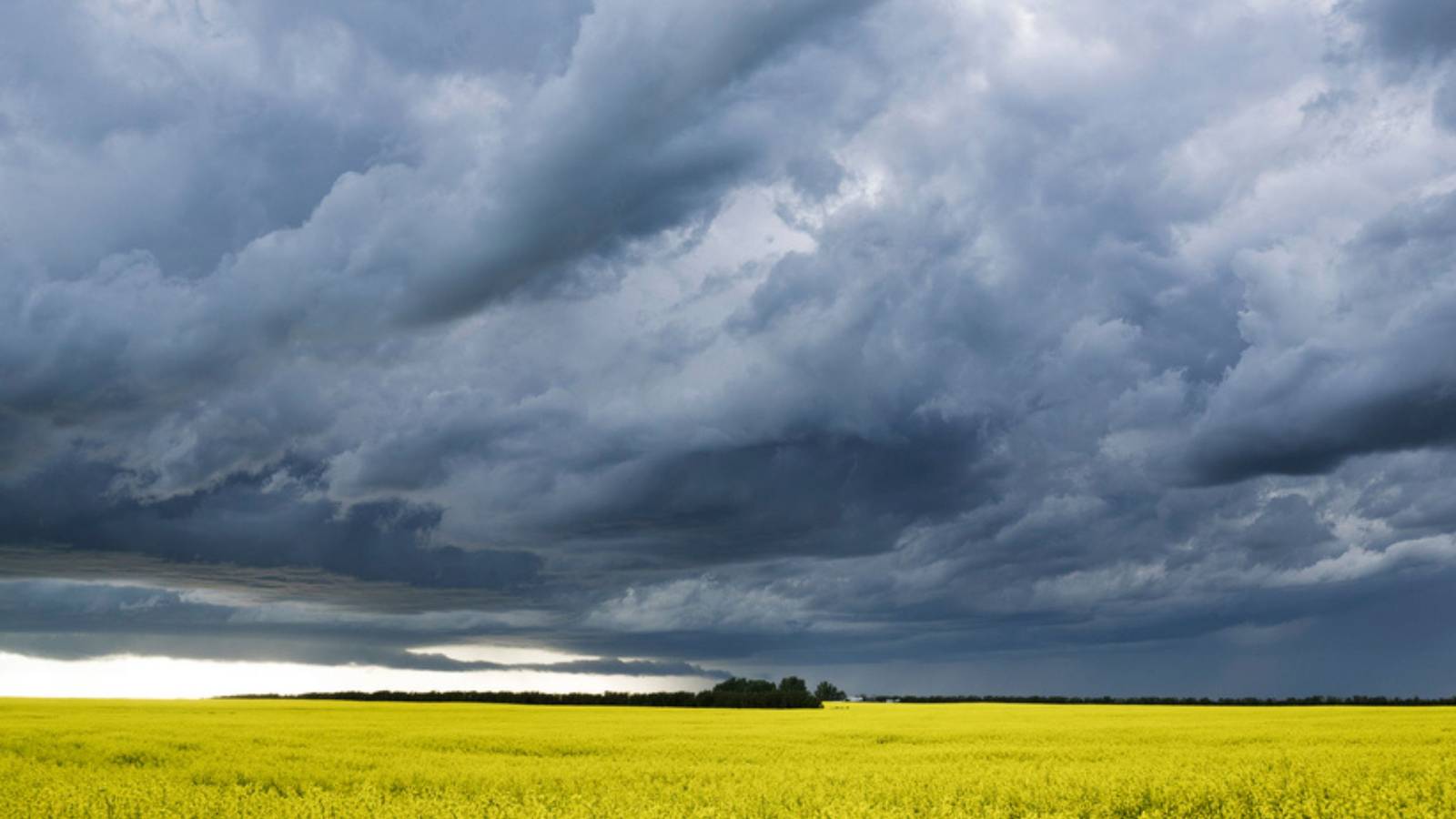 6 Signs From Nature That the Weather is About to Change