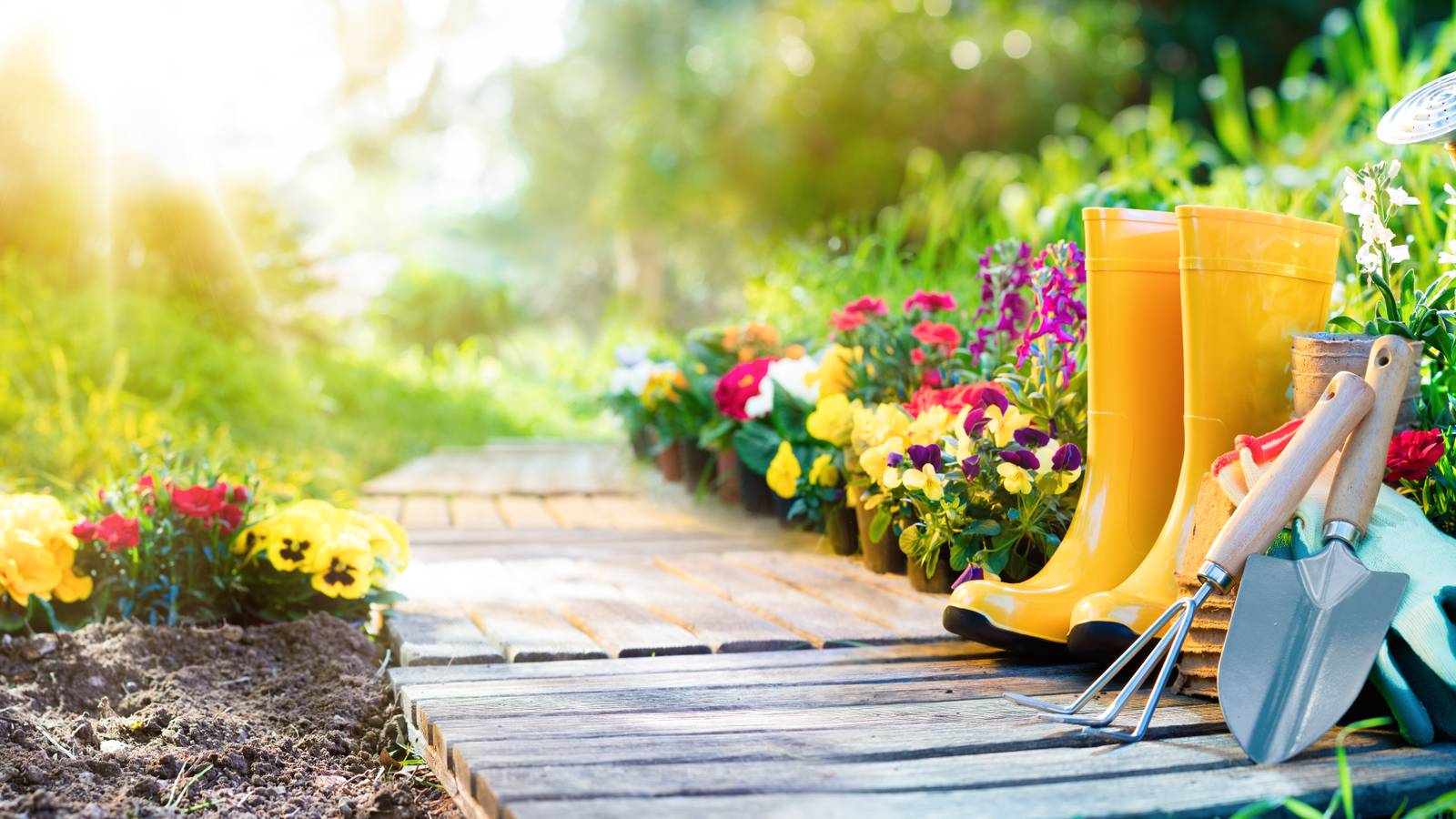 5 Key Essentials for a Thriving Spring Garden