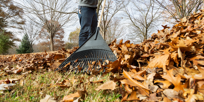 Spring Lawn Care Mistakes to Avoid When Raking