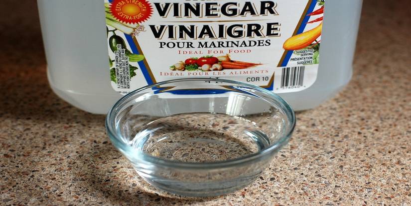 5 Brilliant Ways to Use Vinegar in Your Garden