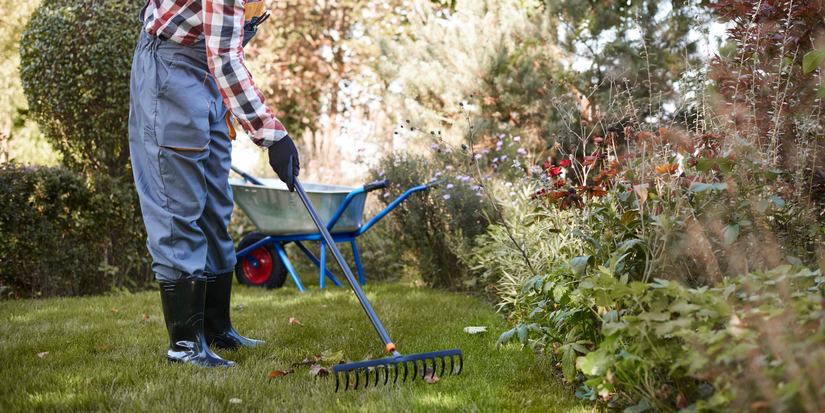 Spring Lawn Care Mistakes to Avoid When Raking
