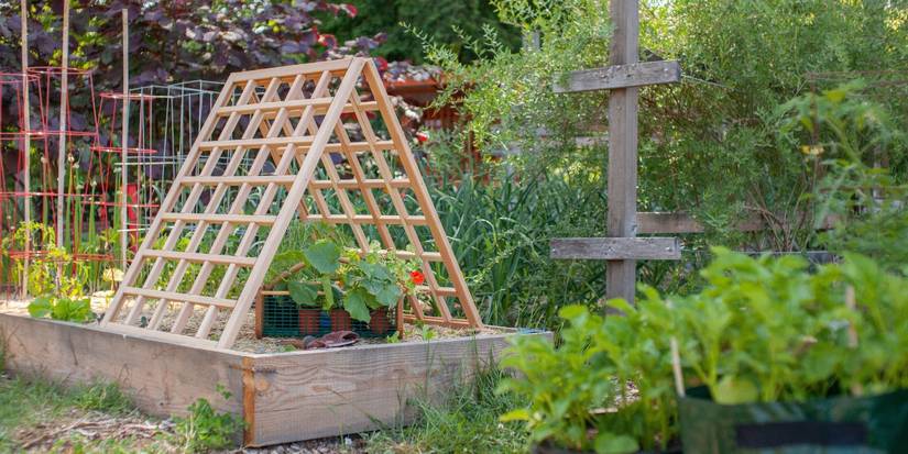 Sustainable Charm: Ways to Incorporate Reclaimed Wood Into Your Garden