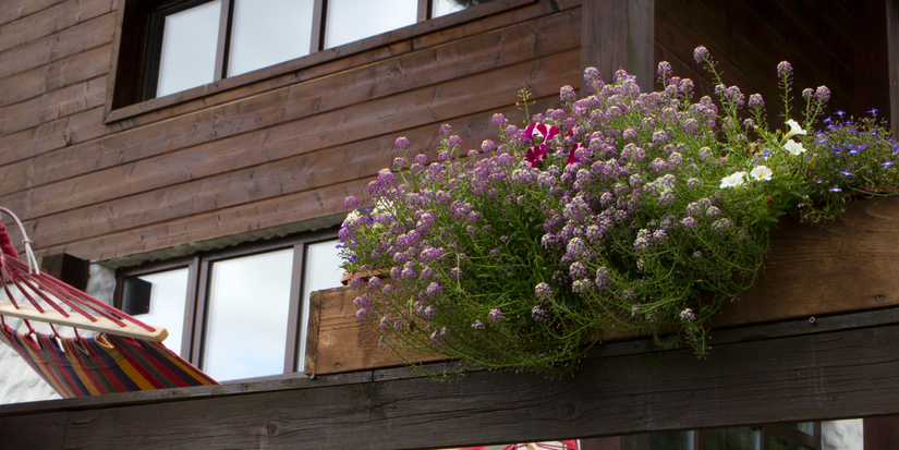 6 Urban Garden Designs For Your Small Spaces