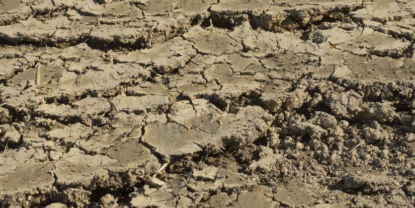 5 Issues That Can Ruin Your Soil's Structure