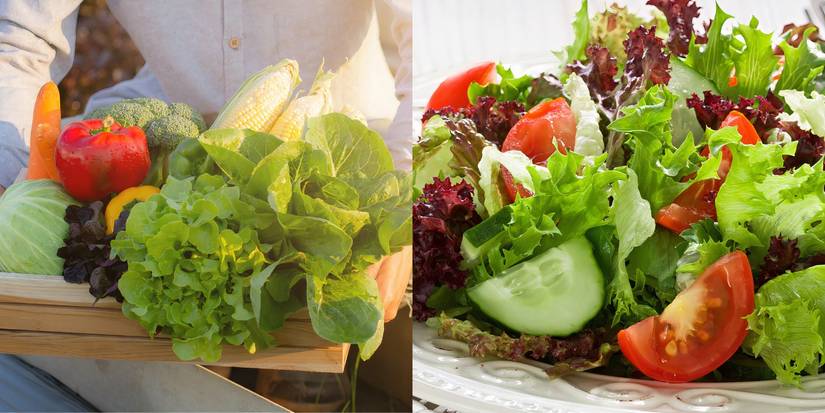 Start Earning from Your Garden Today: Profitable Gardening Ideas