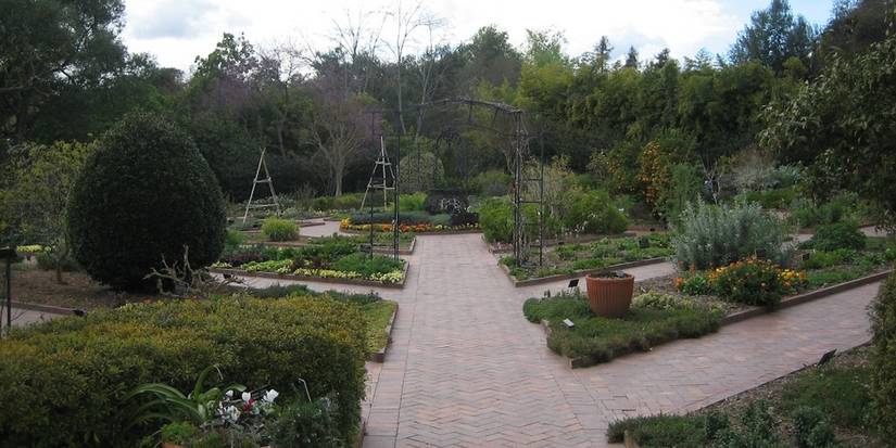 How to Design a Modern Home Garden with Style and Function
