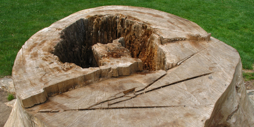 Creative Garden Ideas: Repurpose An Old Tree Stump