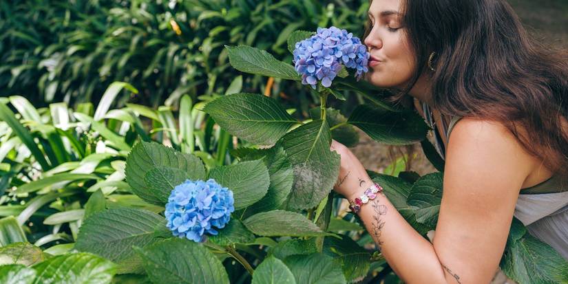 Top Plants and Flowers for a Romantic Garden