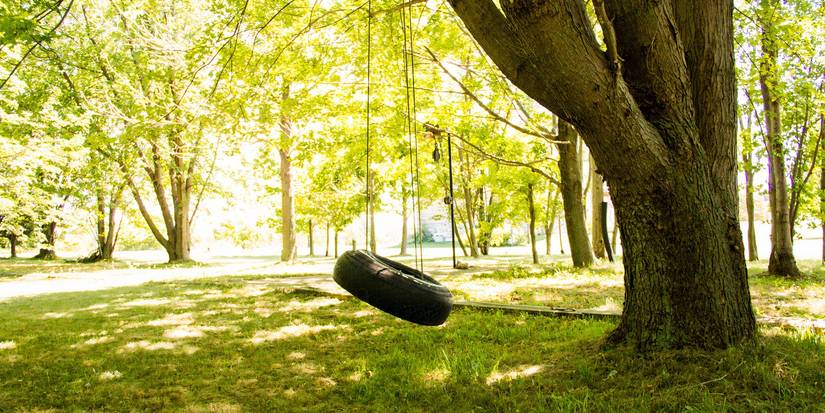 DIY Backyard Ideas: Stylish Ways to Repurpose Old Tires