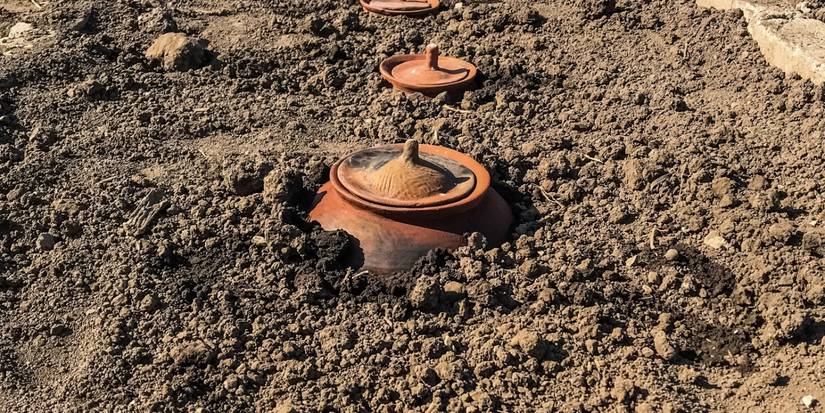 Transform Your Garden With the TikTok Olla Watering Trend