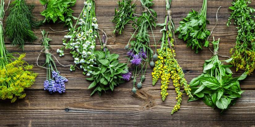 How to Make Natural Incense With Herbs From Your Garden