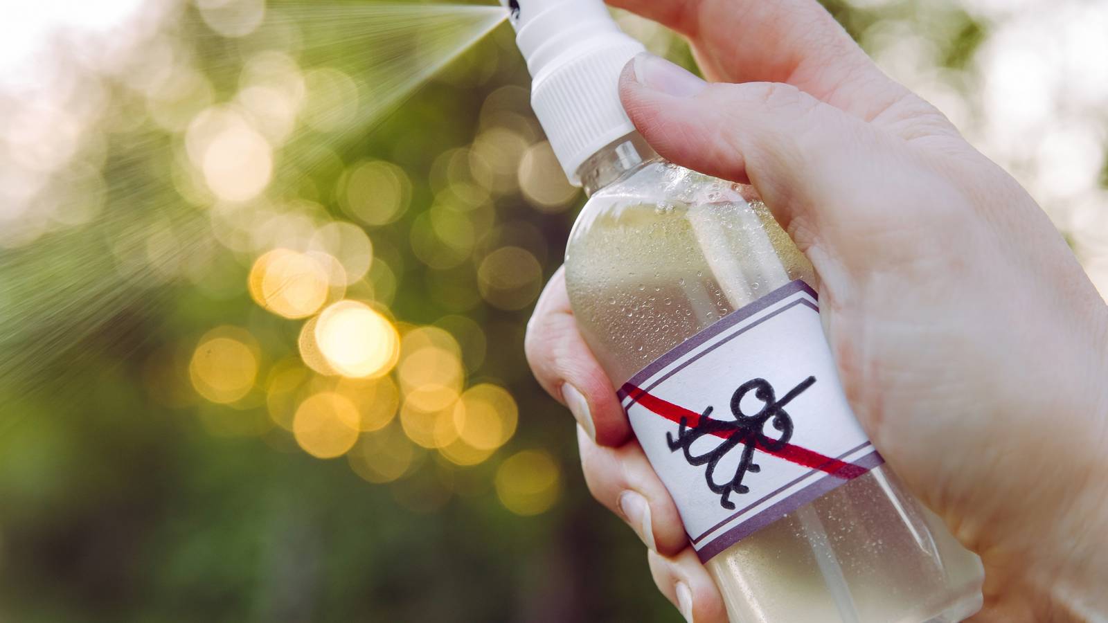 What Are Chiggers and How Do You Get Rid of Them?