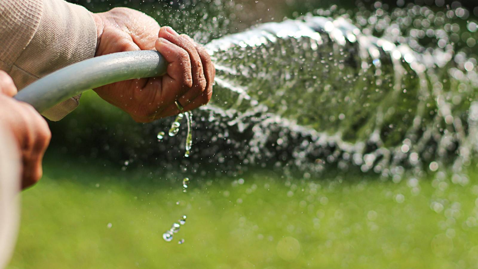 How to Water Grass Effectively Based on Soil Type
