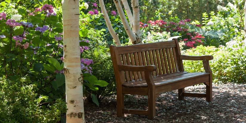 Stunning Landscaping Ideas for Around Your Trees