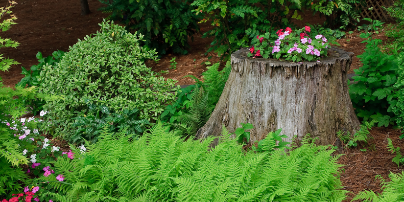 Creative Garden Ideas: Repurpose An Old Tree Stump