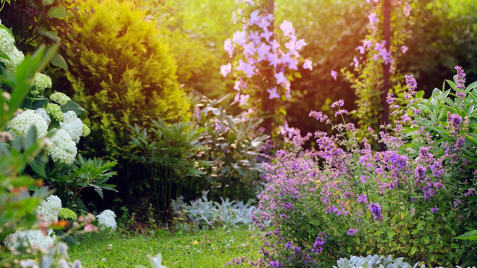 romantic garden stuff