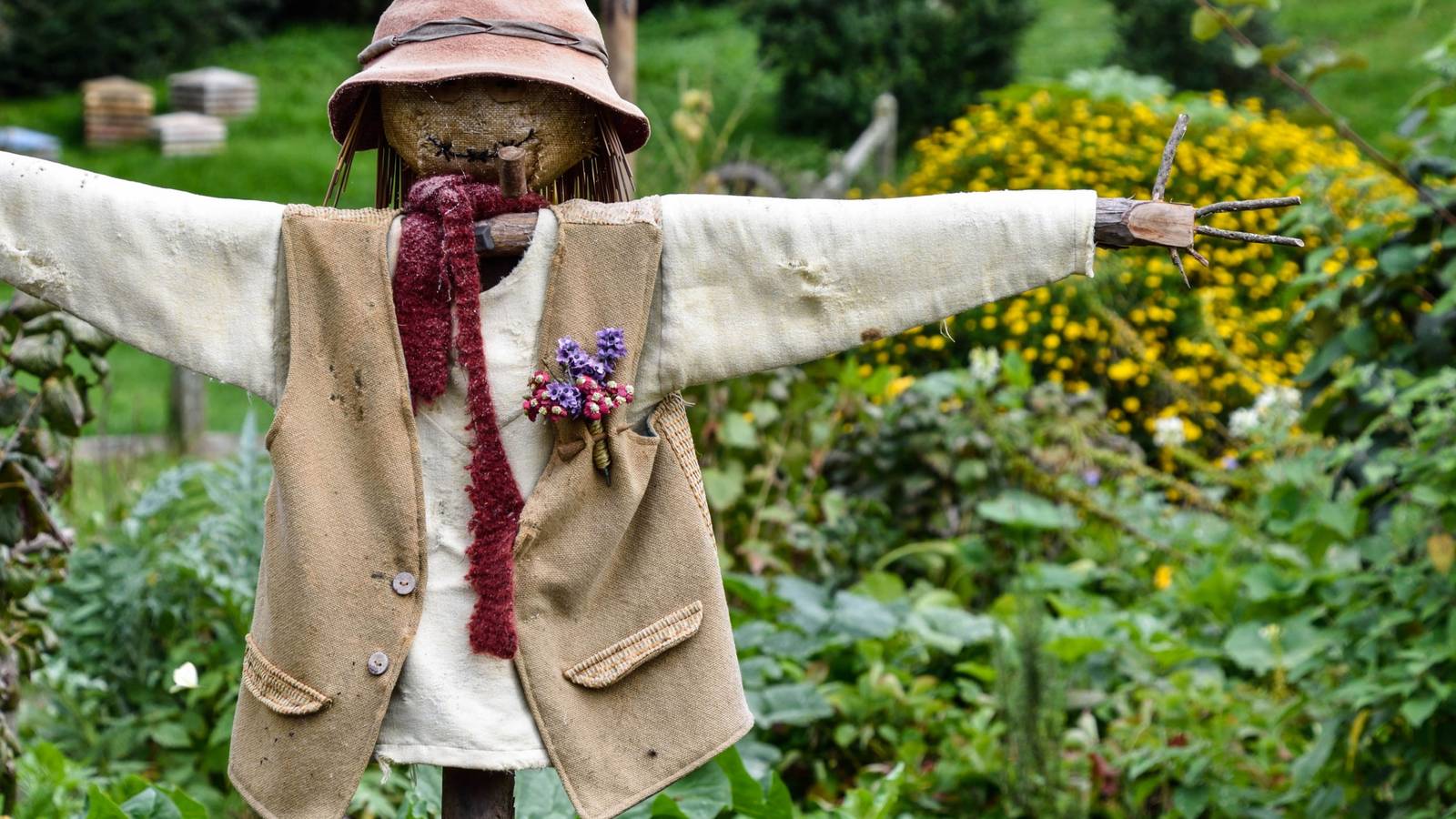 How to Build a DIY Scarecrow