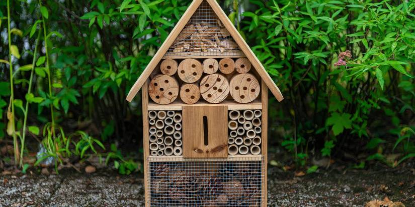 A DIY Guide to Attracting Pollinators to Your Garden
