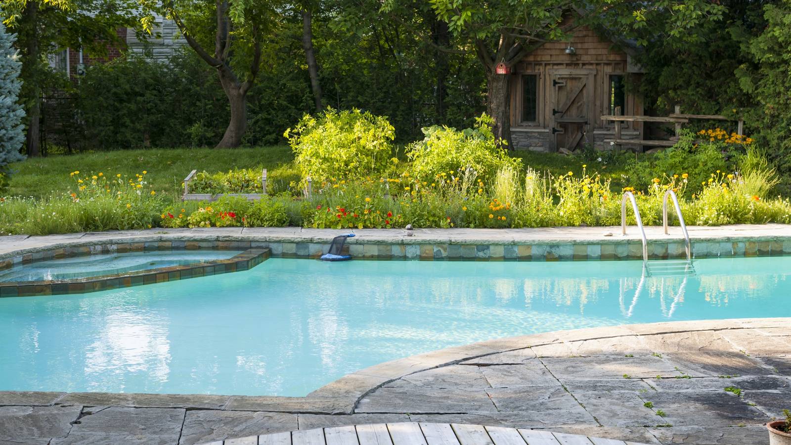 Natural Swimming Pool Design: 8 Pool Garden Ideas