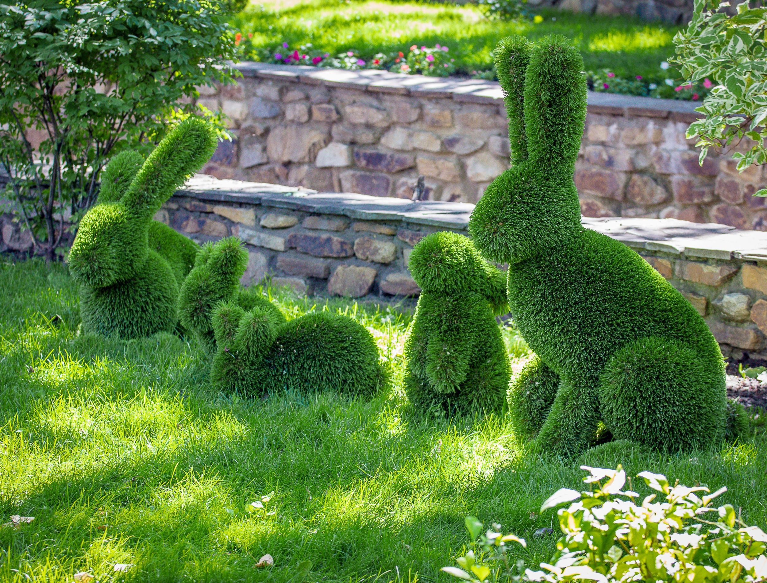 Topiary Gardening: Learn How To Grow Boxwood and Make Garden Art