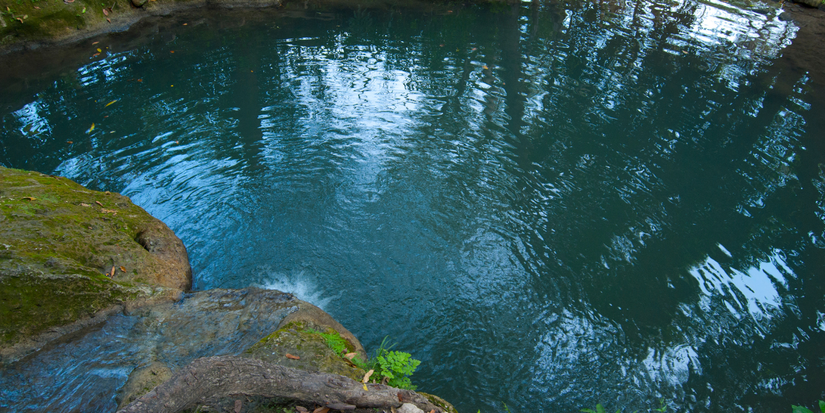 Natural Swimming Pool Design: 8 Pool Garden Ideas