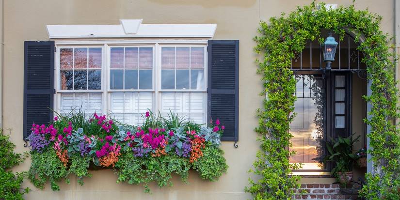 How to Clean and Refresh Your Window Boxes