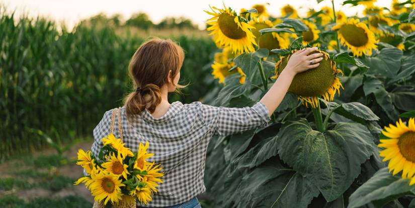 7 Self-Fertilizing Plants That Thrive Without Pollinators