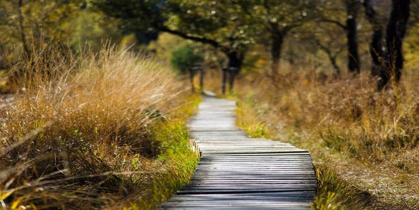 Eco-Friendly Walkway Ideas: Sustainable Materials For Beautiful Paths