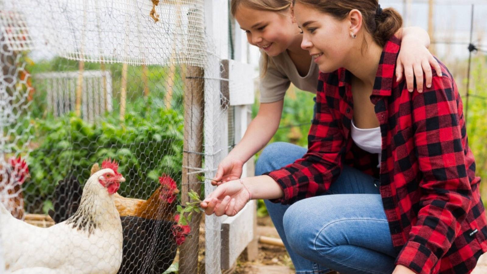 How to Create a Self-Sustaining Home