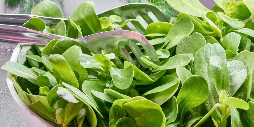 Lazy Day Breakfast Made Easy With Fresh Fruits and Veggies