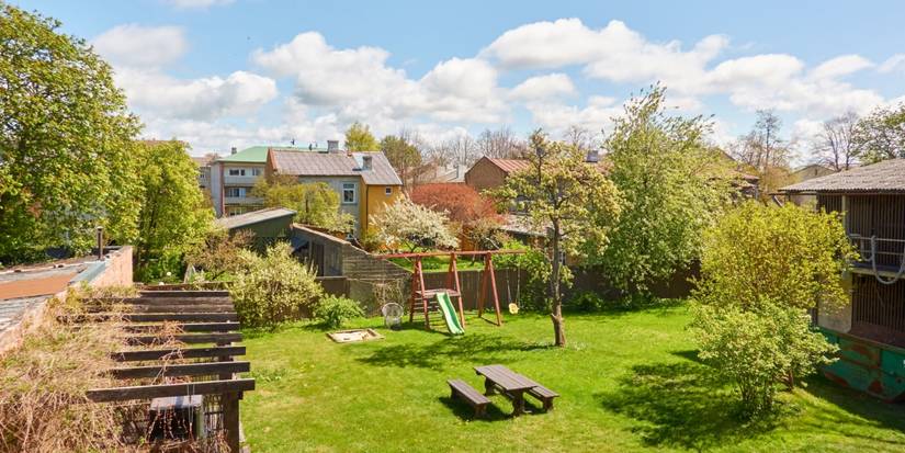 5 Tips for Keeping Your Yard Clean Year-Round