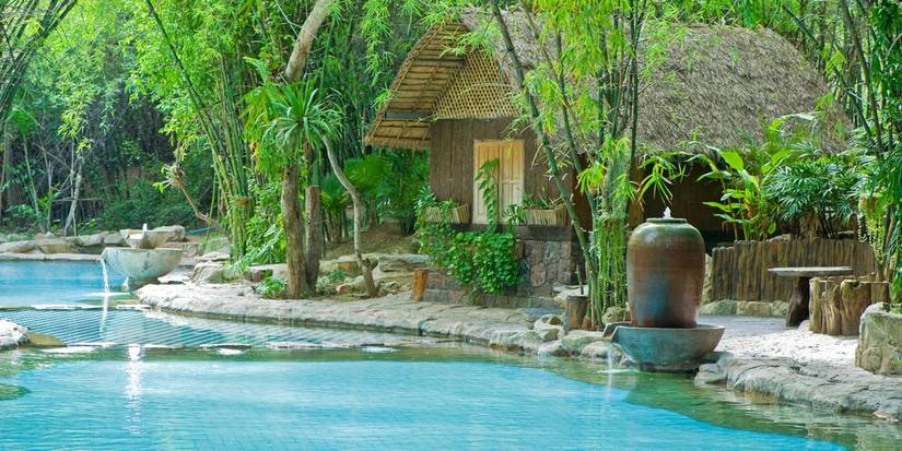 Blue Hydrangeas to Agave: Perfect Poolside Plants