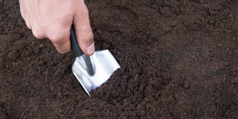Essential Steps to Break Up Compacted Soil