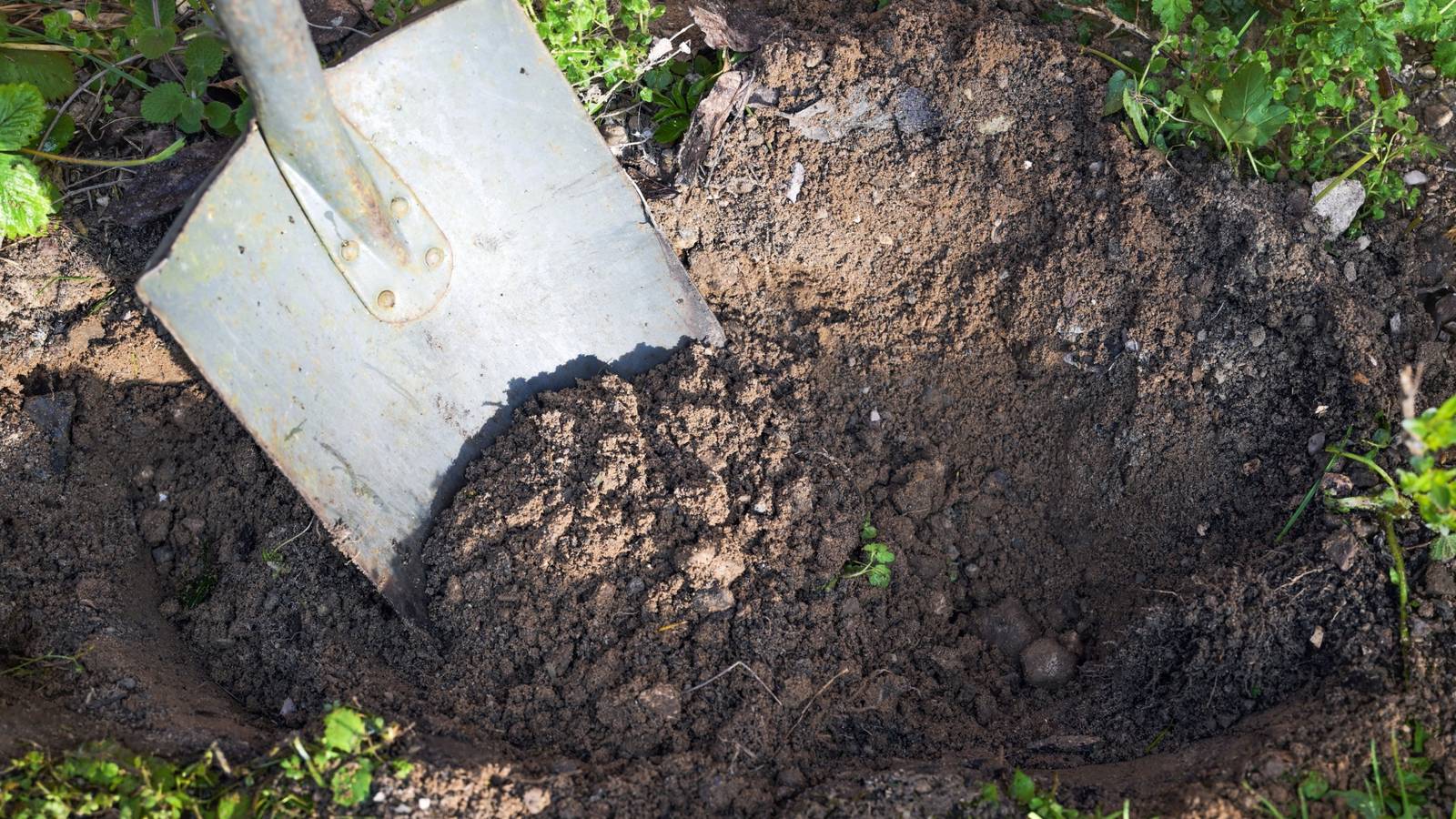 5 Issues That Can Ruin Your Soil's Structure